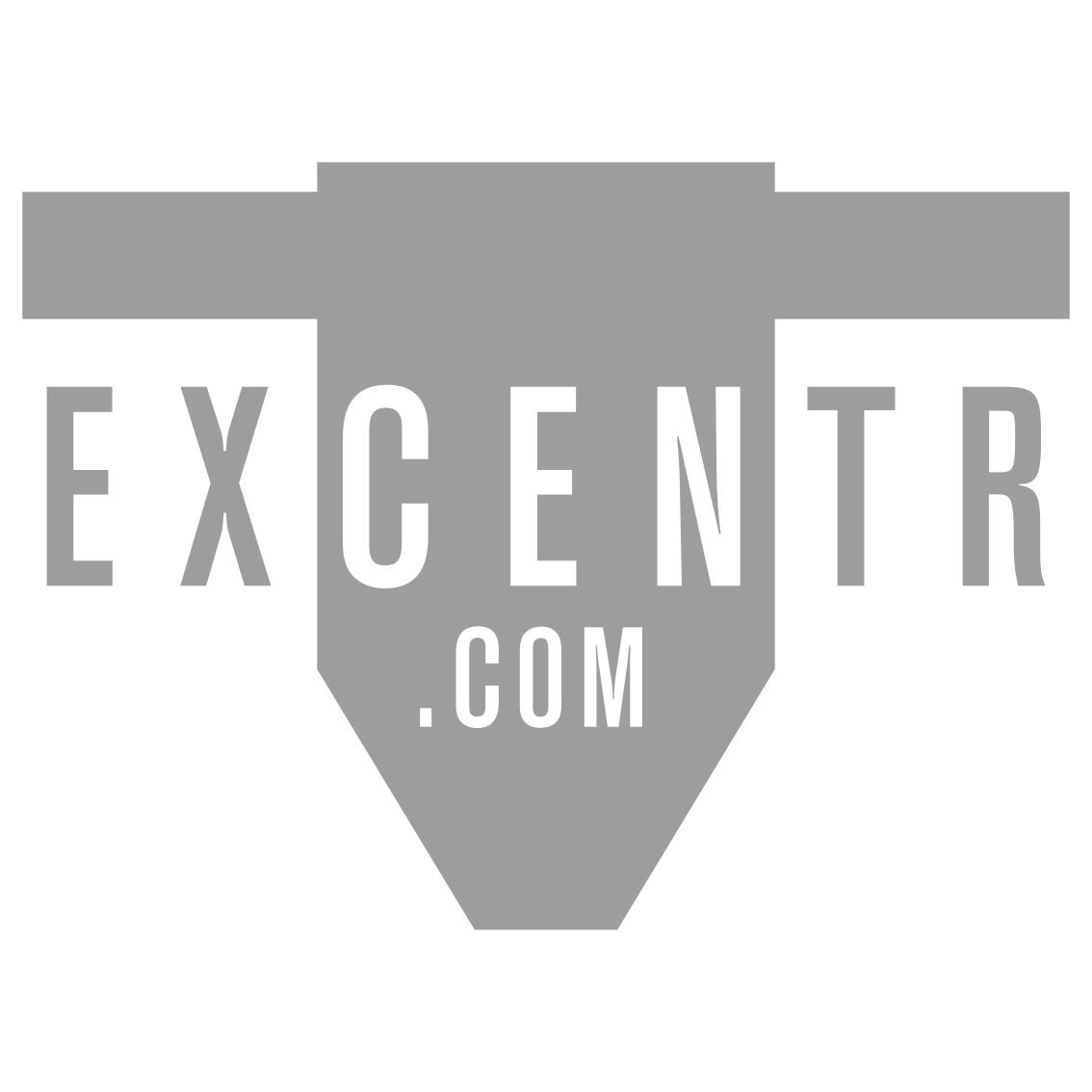 INICIO NUEVO - Excentr